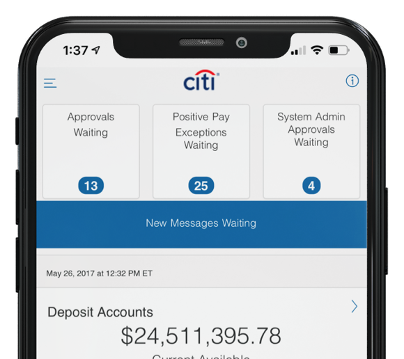 CitiBusiness® Online